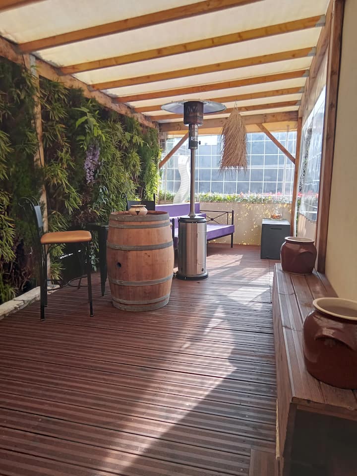 Domus Nemausa - Nîmes