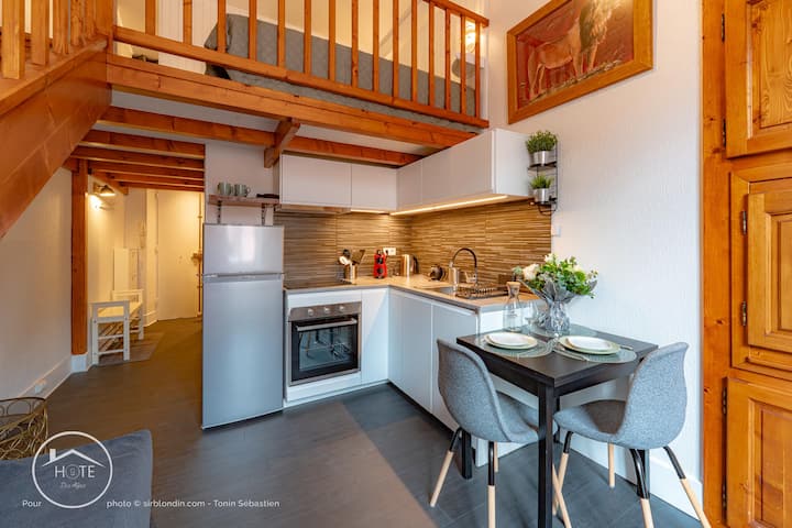 "Les Arcades" Wifi-centre Historique - Chambéry