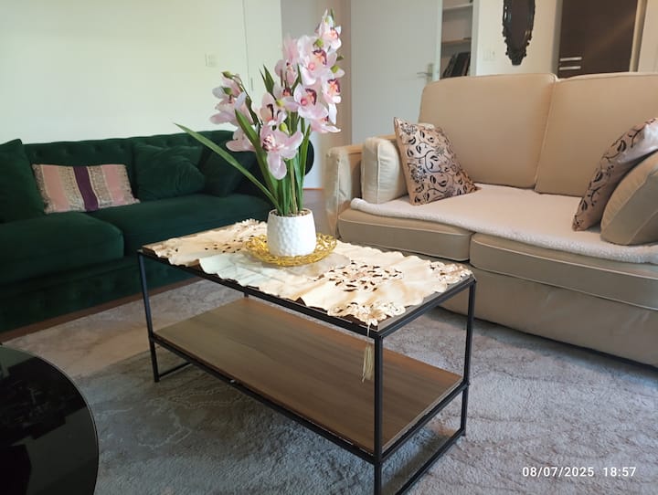 Cergy : Logement 2 Chambres + Jardin & Barbecue - Conflans-Sainte-Honorine