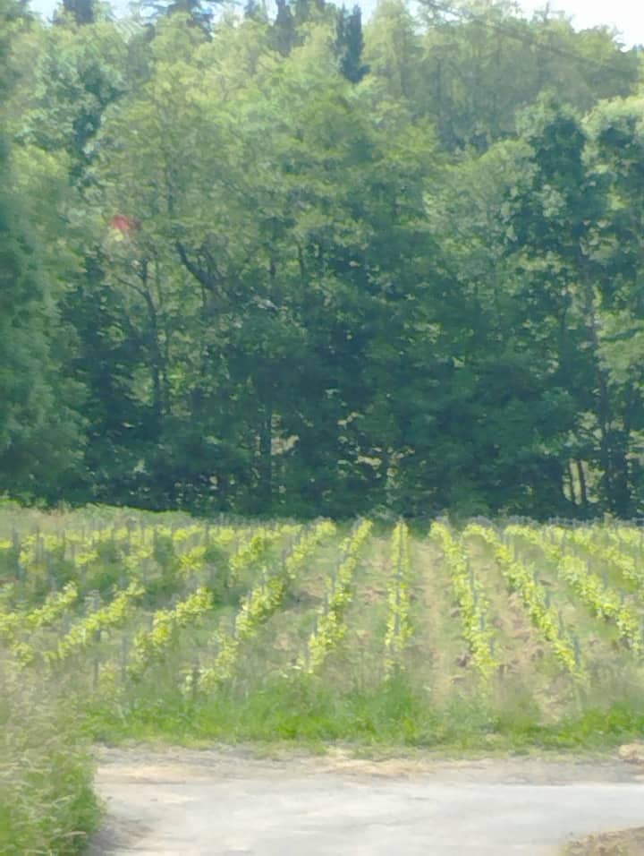 Maison Au Coeur Du Beaujolais - Juliénas