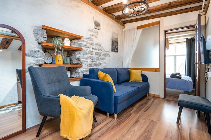 Night Owl Nest In Old Town - Tallinn