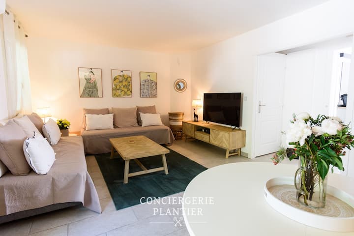 Maison De Charme 5p 2sde 3wc Clim Garage Terrasse - Pézenas