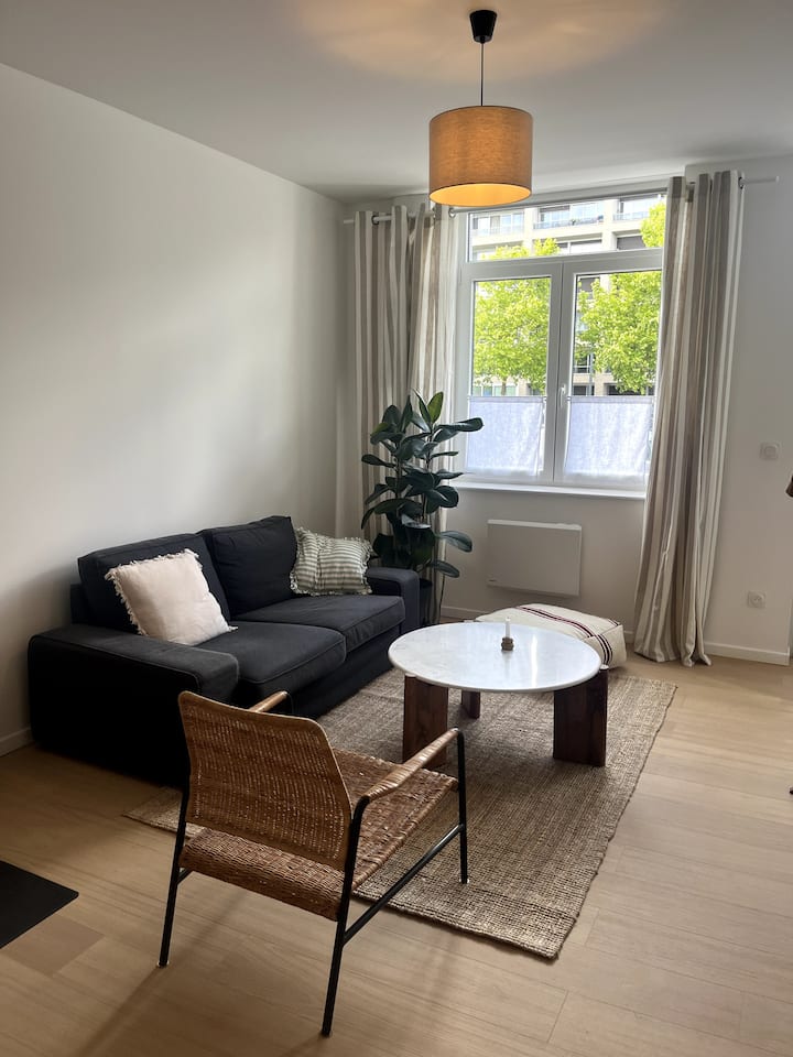 Maison Lumineuse Avec Terrasse, Lille Euratech - Lila