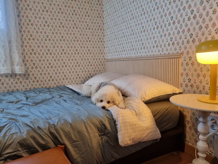 Lincheon Leto Dog Accompanied Room - Incheon