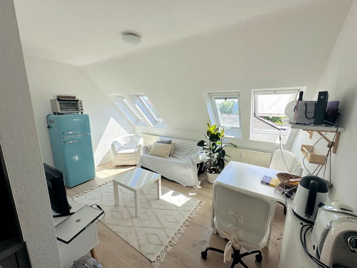 Kleines Penthouse In Mannheim - Mannheim