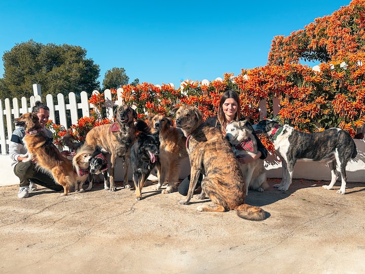 Séjour Unique Au Refuge Canin En Pleine Nature - Torrox