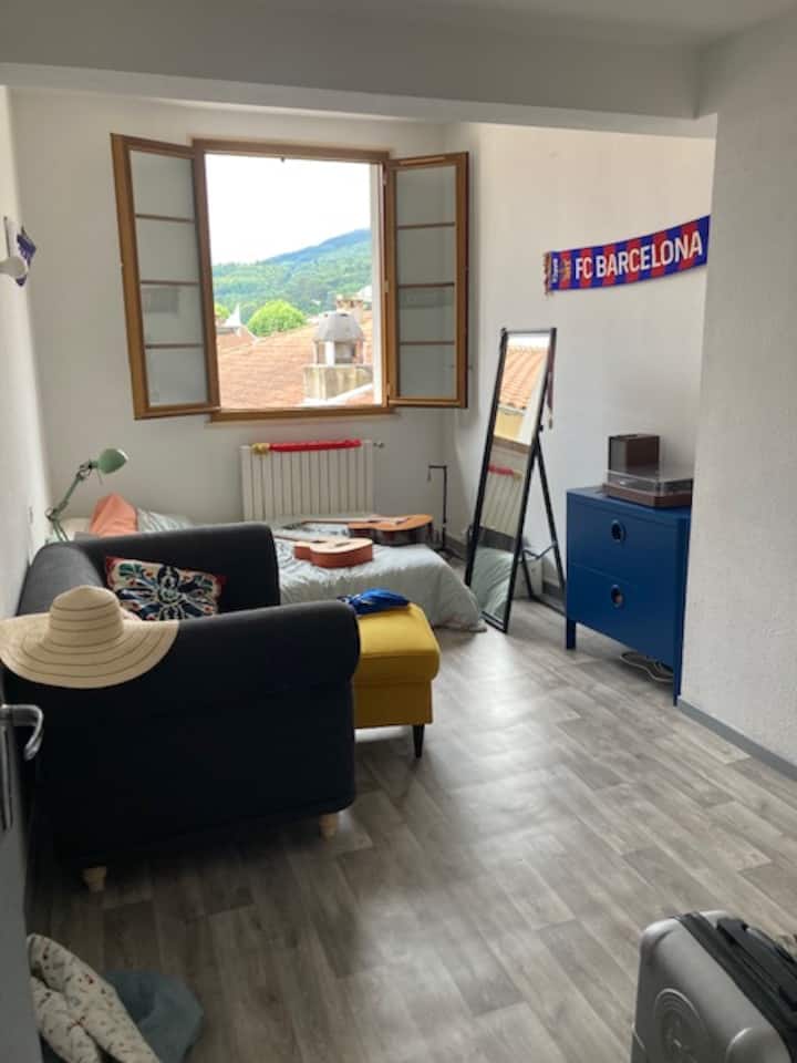 Chambre Double à Foix - Foix
