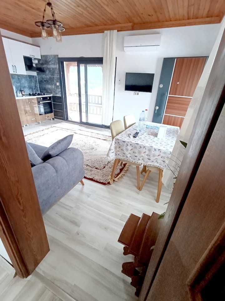 Alya Turizm Amaçlı 1+1 Konut - Ören