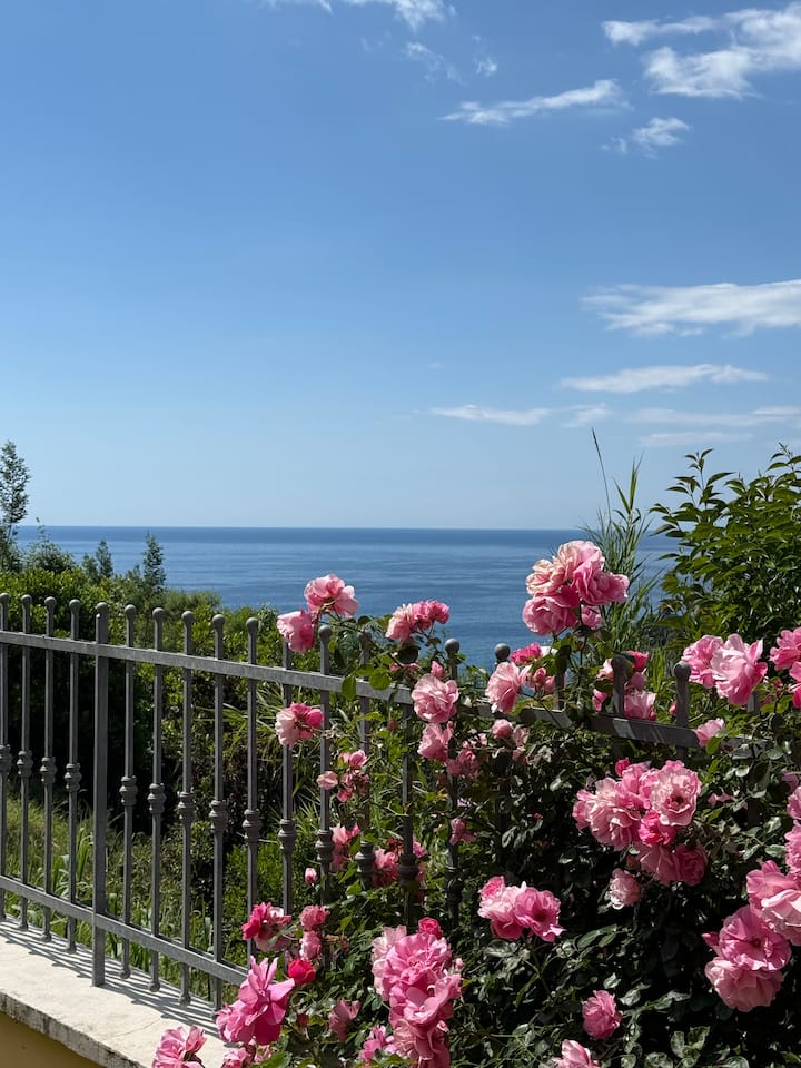 Erica Home (Villa Beuca) - Cogoleto