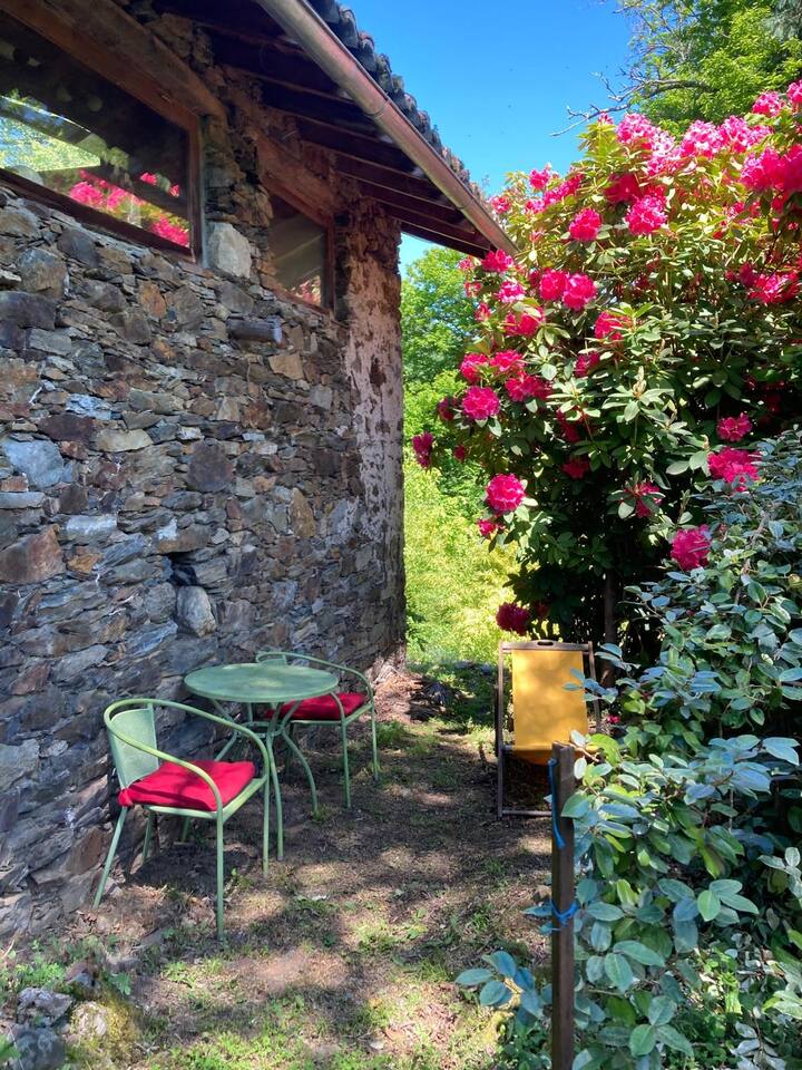 Le Casalou: Gîte En Forêt - Ariège