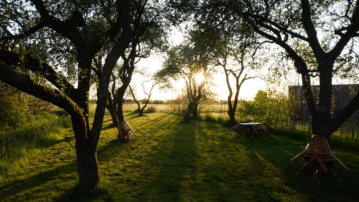 Boerderijkamer Bij Leeuwarden. Natuur En 11steden - Leeuwarden