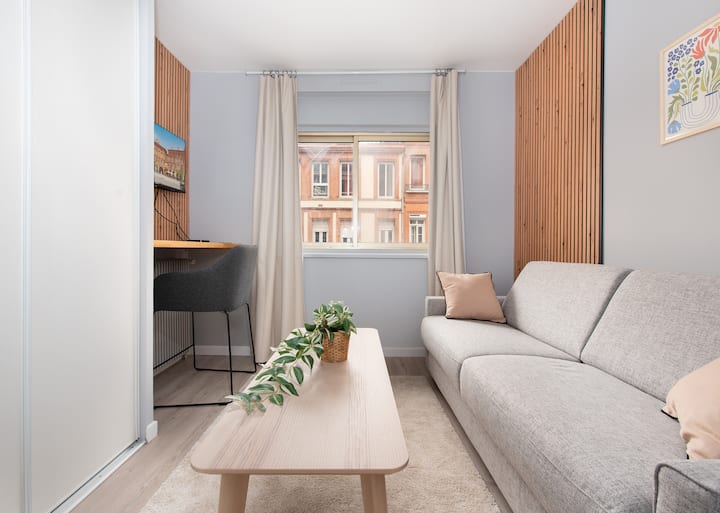 Studio Raymond Iv : éLégance Et Confort - Toulouse