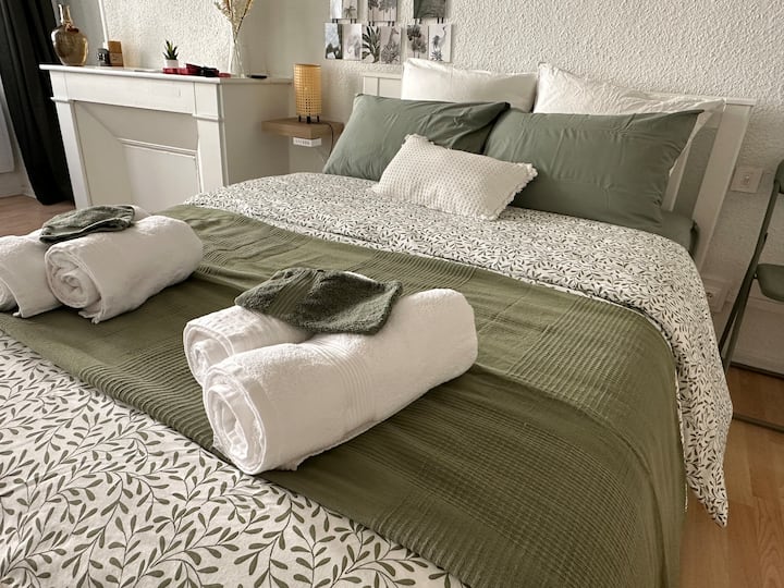 Le Sérénité - Au Coeur Des Thermes De Dax - Dax