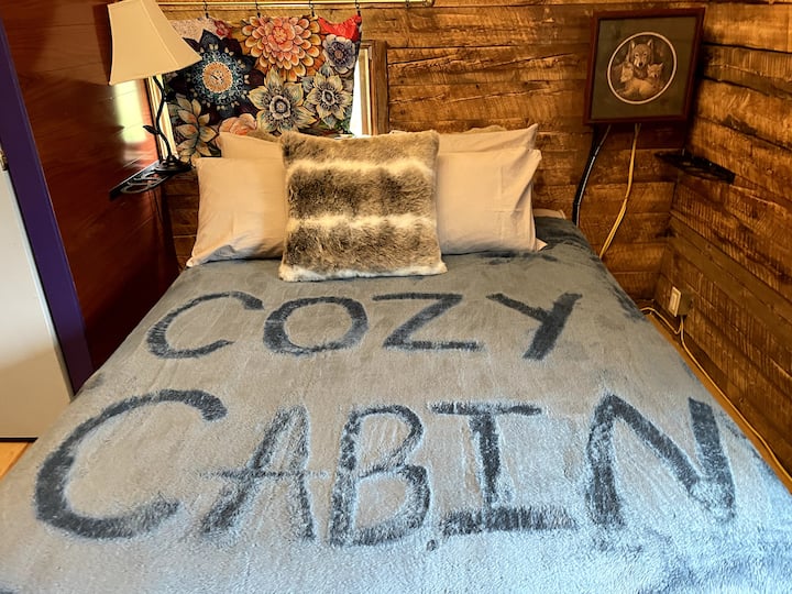 Cozy Cabin - Talkeetna, AK