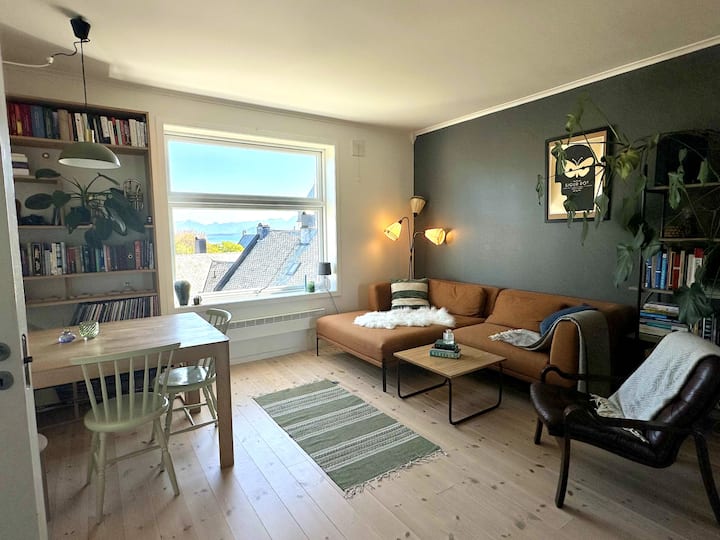 Sjarmerende Leilighet Med Fantastisk Utsikt - Ålesund