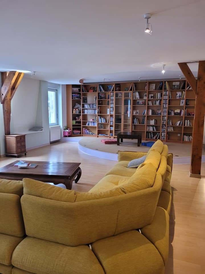 Loft 114 M2 Plein Centre Face Aux Thermes - Puy de Sancy