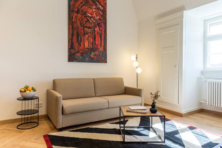 Suite • 55 M² • Bedroom & Air Conditioning - Oberkirch