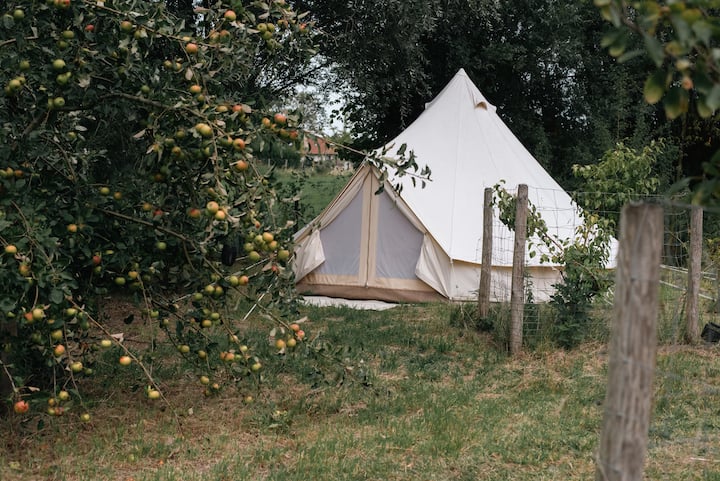 Een Paradijs In De Vlaamse Ardennen - Appelaar - Renaix