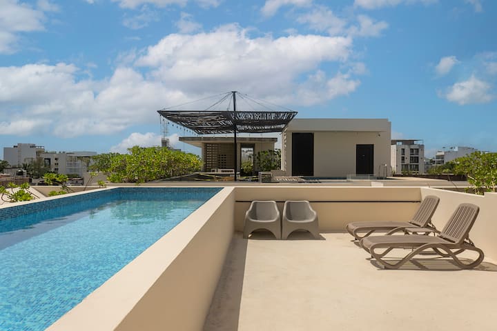 The Monkey Room Playa Del Carmen - Playa del Carmen