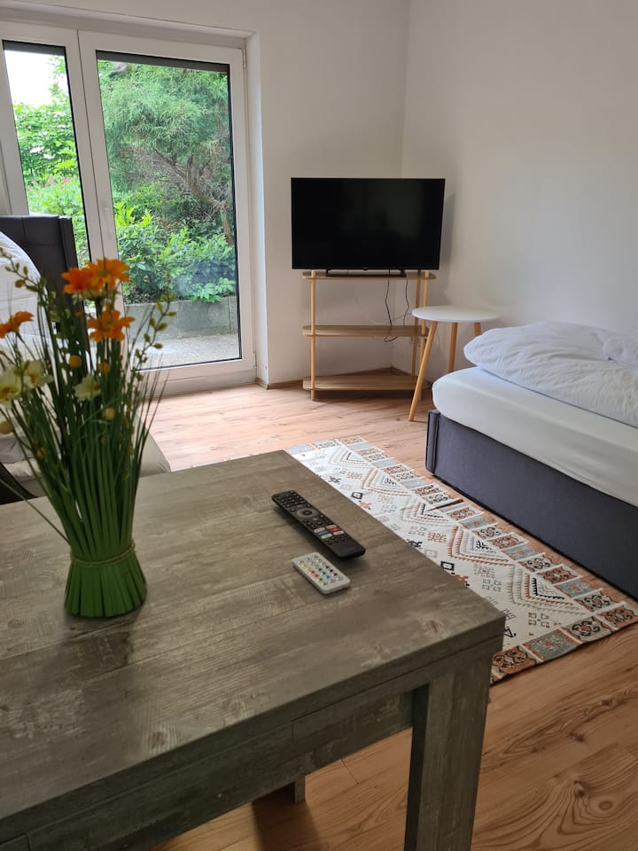 Wellandhome - Business Apartment - 4 Single Beds - Aalen