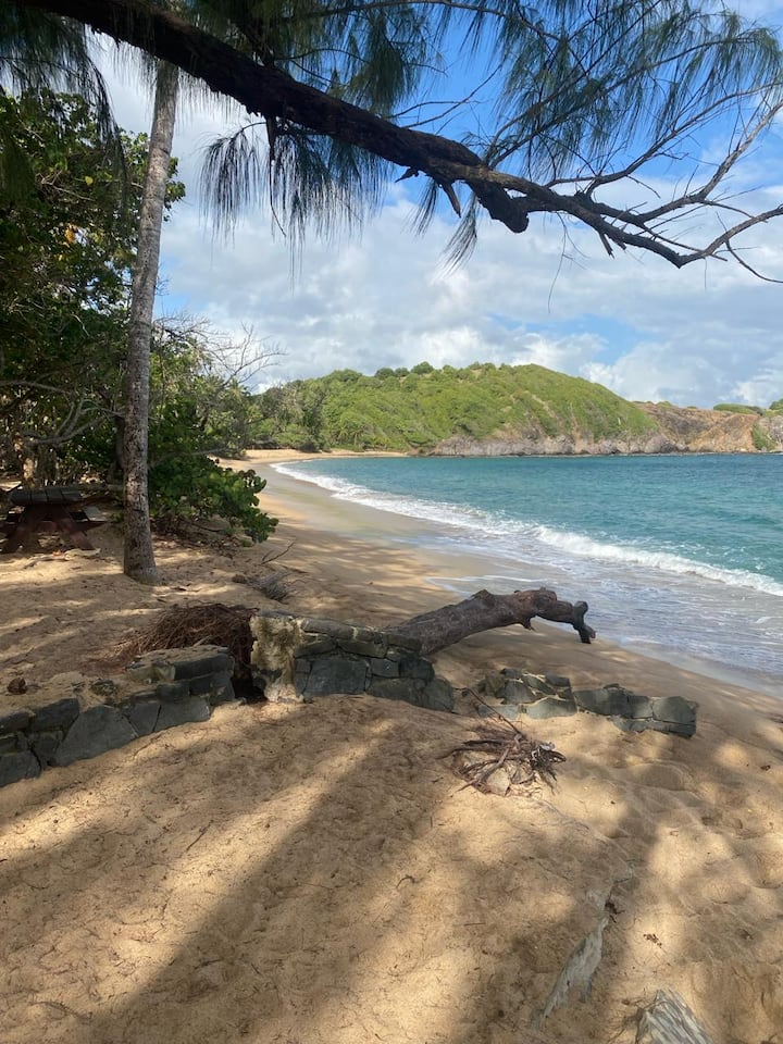 Bungalow Anse L'etang Tartane - Martinique