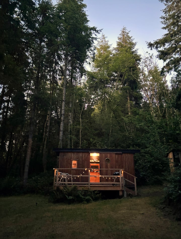 Woodland Eco-retreat - Bovey Tracey