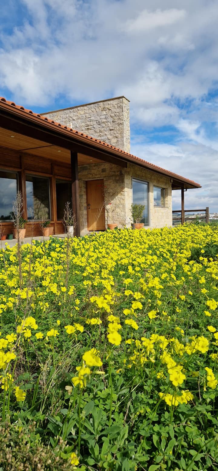 Sustainable Wood Lodge - Oesteinndoors - Lourinhã