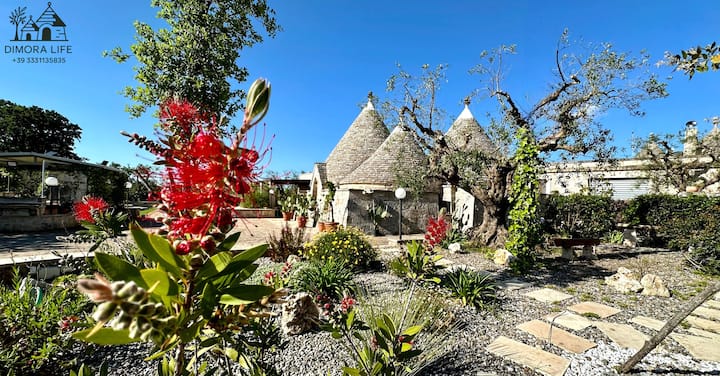 Dimora Life - Trullo Il Melograno - Locorotondo