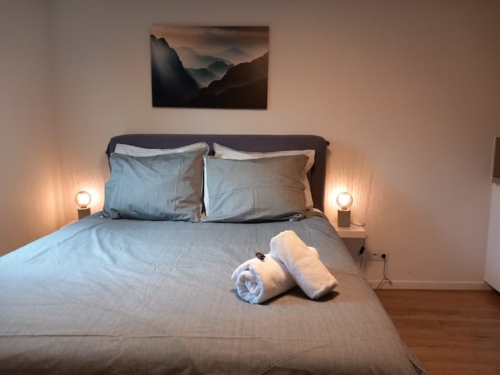 The Downtown City Nest Den Apartment - Delft