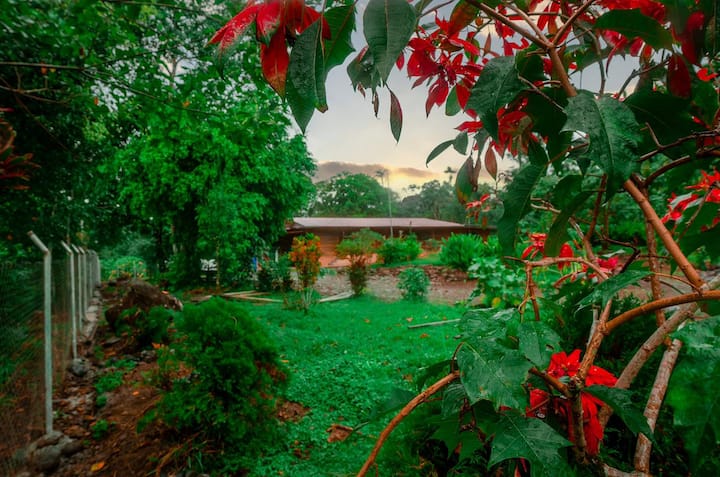 Casa De La Montaña - Pastaza