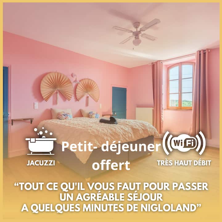 La Vue En Rose - Petit Déj', Jacuzzi, Nigloland - Dolancourt