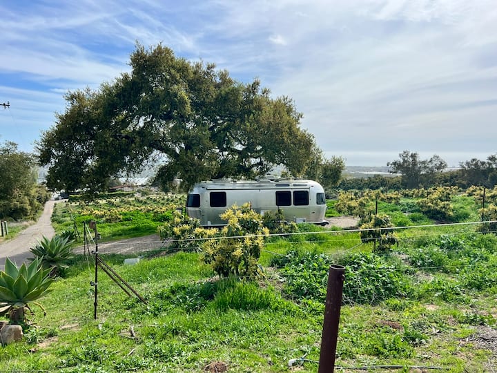 Airstream Ocean View Farm Oasis! - Carpinteria, CA