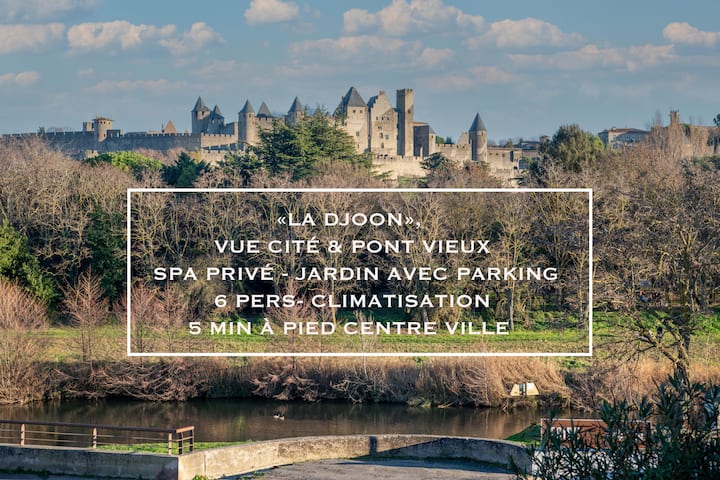 Maison La Djoon,vue Cité, Centre Ville Spa Jardin - Carcassonne