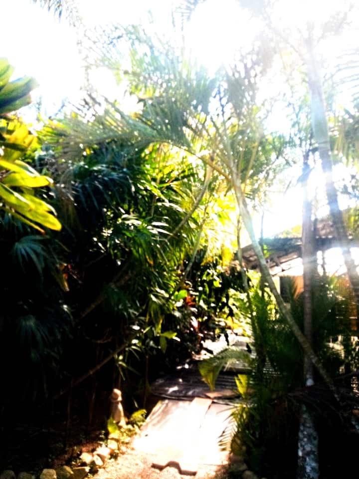 A Natural Sanctuary - Your Room - Kuranda