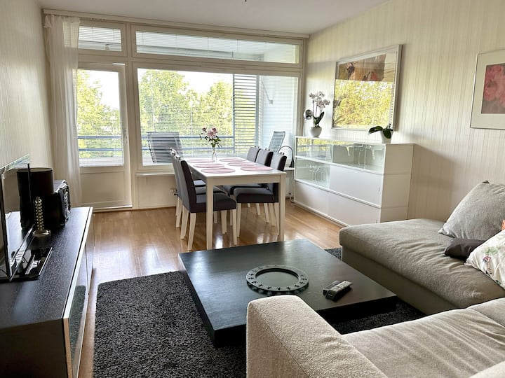 Viihtyisä Kaksio Olavinlinnan Läheisyydessä - Savonlinna