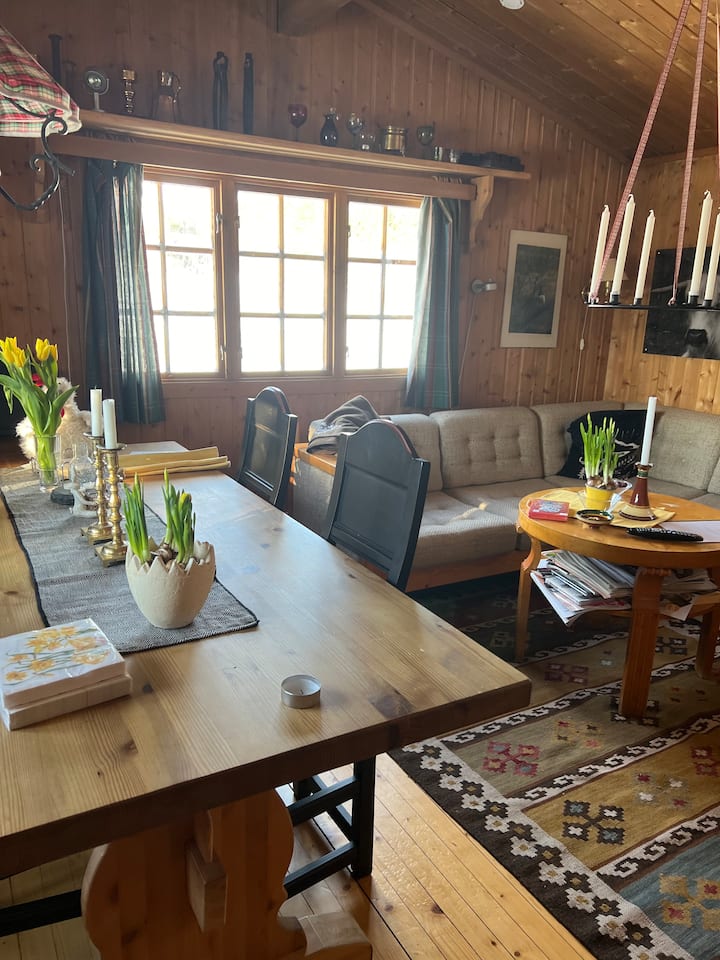 Koselig Hytte Sentralt I Oppdal/ski-in Ski Out. - Norway