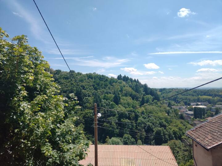 Vue Volcans - Studio De Charme Thiers Centre - Thiers