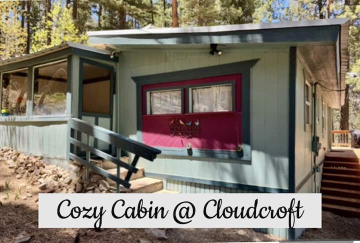 Cozy Cabin @ Cloudcroft - Cloudcroft, NM