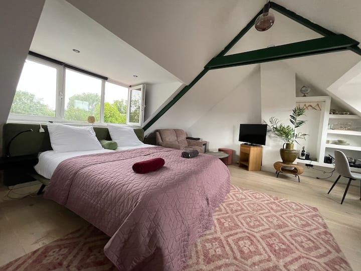 Spacious Attic Studio-en-suite 15 Min A'dam - Zaandam