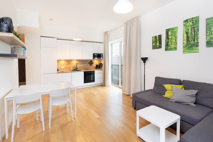 Modern 2br Apt:balcony, Free Parking, Near Airport - Tallinn