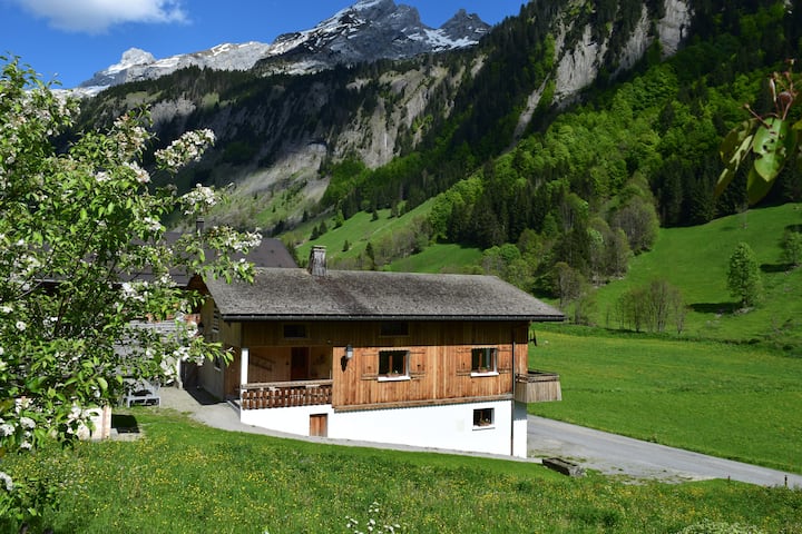 Chalet De Lormay 14 Pers Sauna Extérieur - La Clusaz