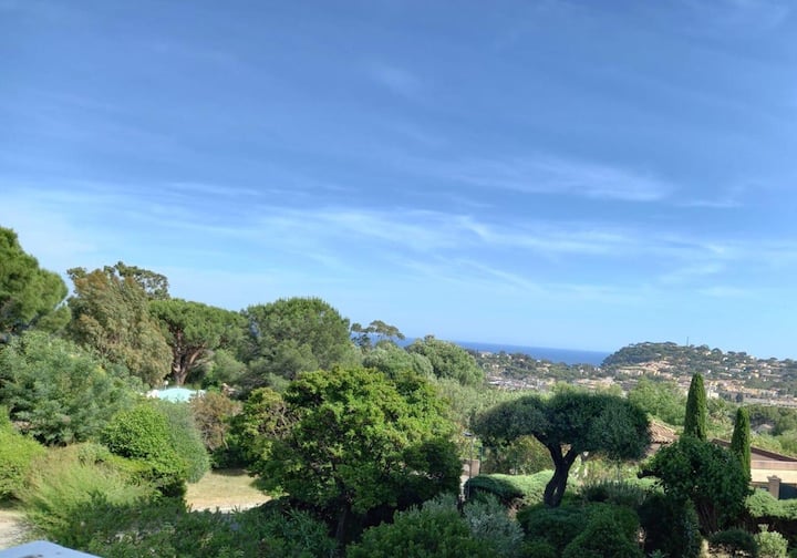 Mimosa Sur Mer - Rayol-Canadel-sur-Mer