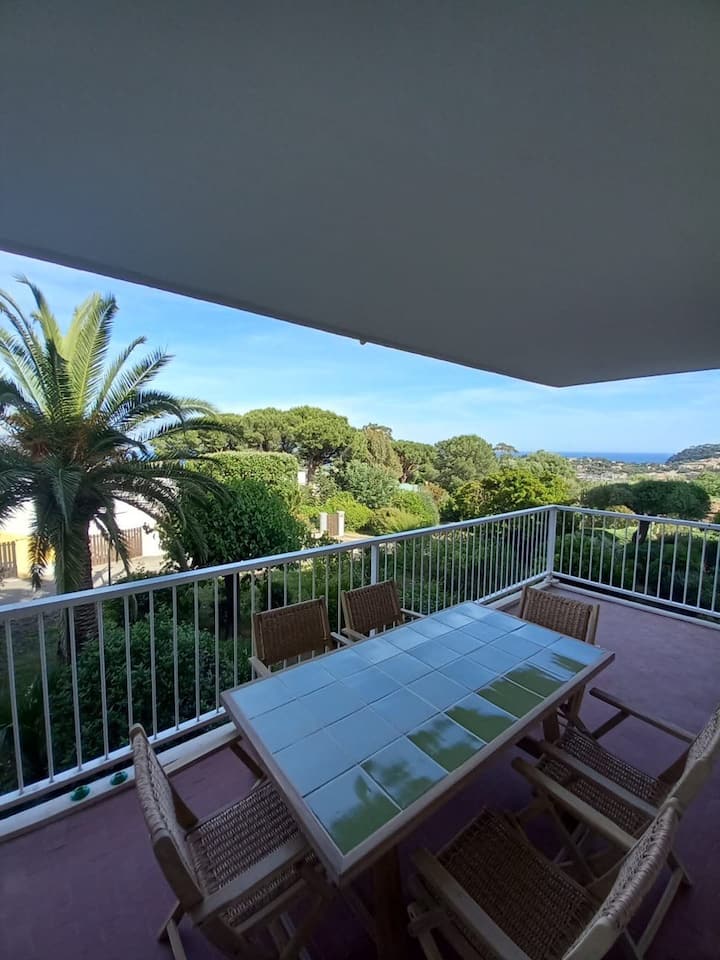Mimosa Sur Mer - Cavalaire-sur-Mer