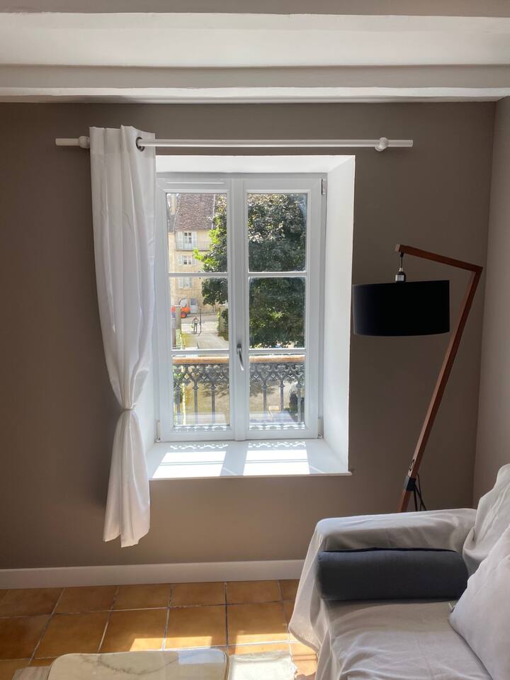 Appartement 15- T2 Classé 2 éToiles-centre-ville - Dole