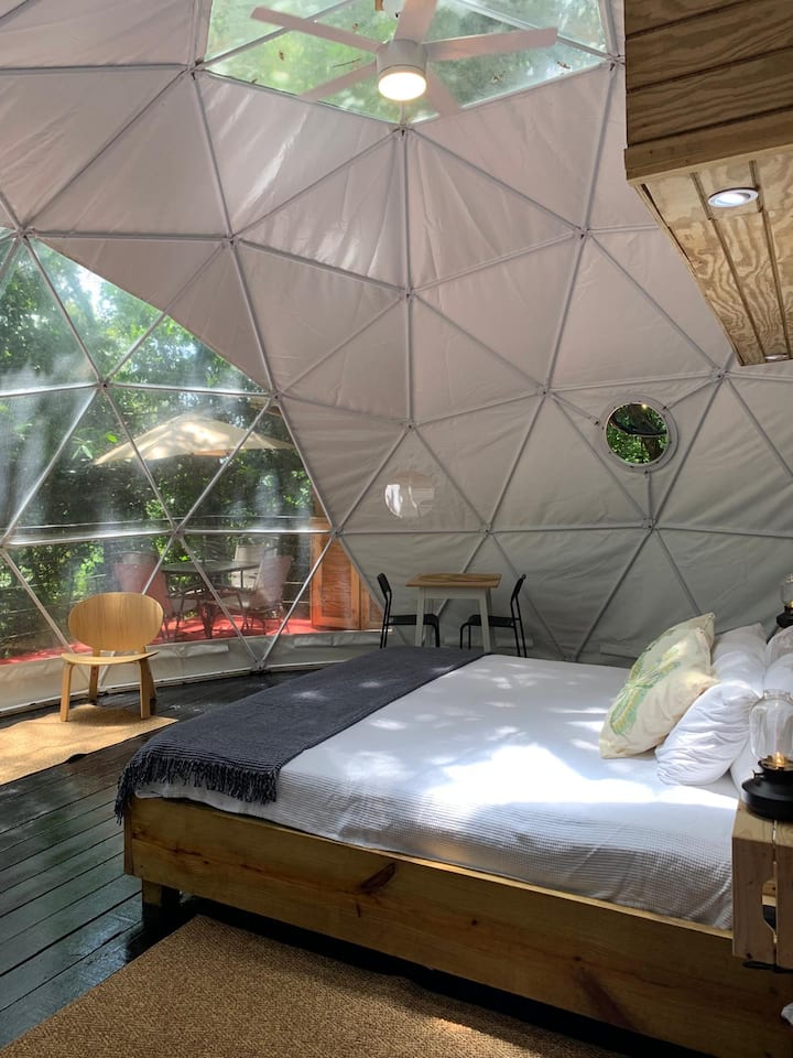 Indómito Domes 2 @El Yunque Zone 2gst - Puerto Rico