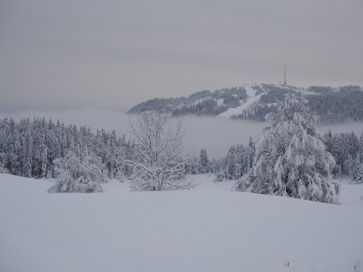 Lajoux, Au Cœur Du Parc Du Haut Jura - Les Rousses