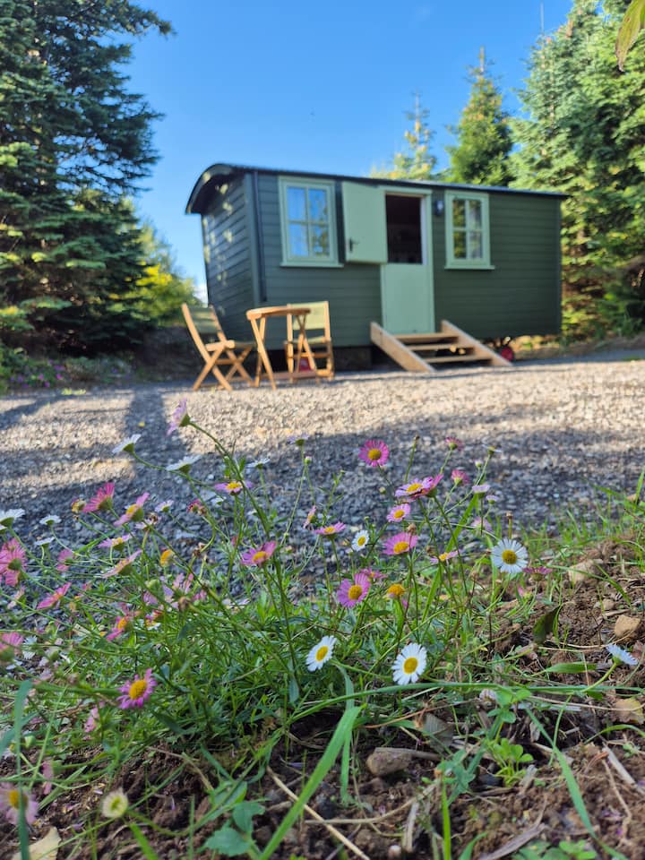 Shepherd's Hut - Wicklow