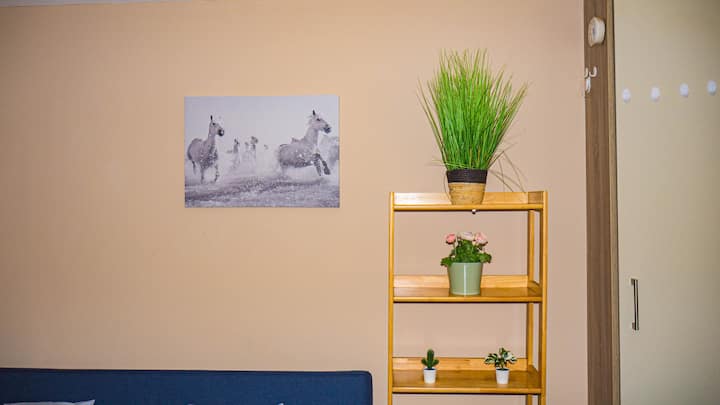 Cosy Flat Off City Centre - 都柏林