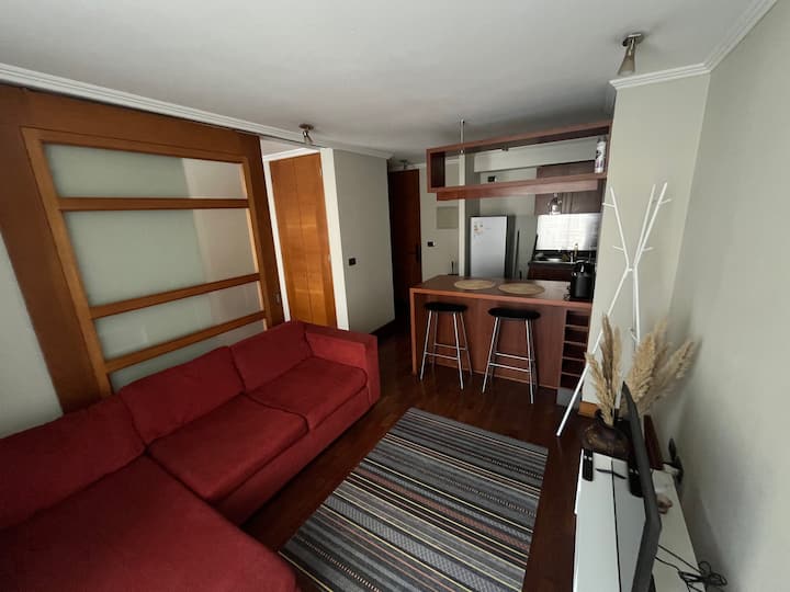 Cómodo Departamento En Providencia - Providencia