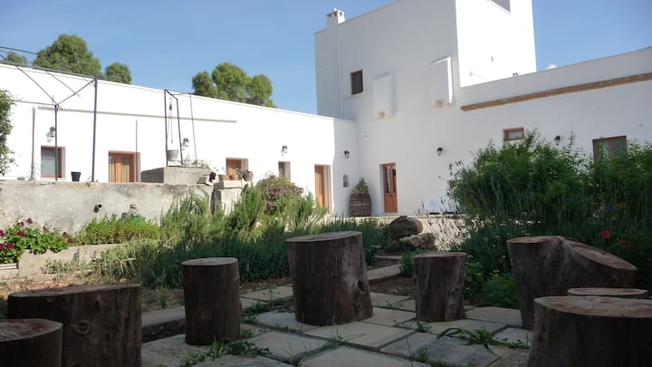 Masseria Fachechi Agriturismo
"Trainieri" - Leverano
